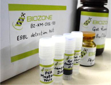 BioZone